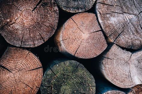 Colored Logs Old Wooden Texture Background Stock Image Image Of