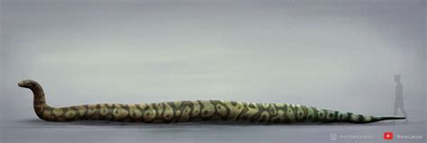 Titanoboa By Mariolanzas On Deviantart