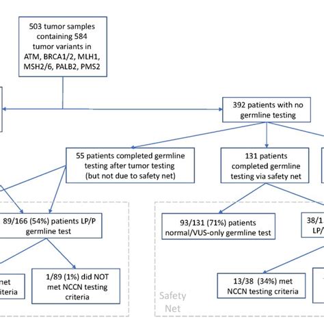 Distribution Of Primary Tumor Types Germline Variant Status And