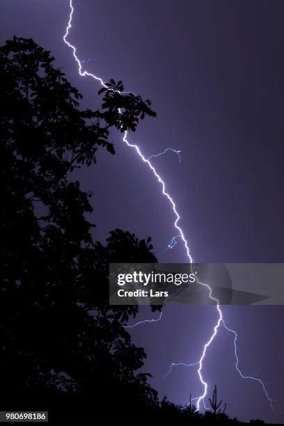 Fork Lightning Photos And Premium High Res Pictures Getty Images Fork Lightning Photos And Premium High Res Pictures Getty Images