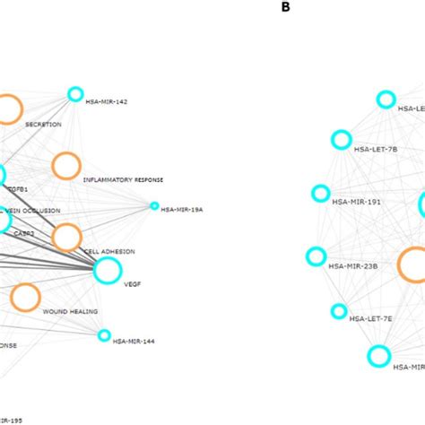 Clustergram And Heatmap Images Representing Miscript Mirna Pcr Array Download Scientific
