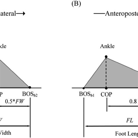 Positional Relationship Between Cop And Bos Boundary Bos B In Foot