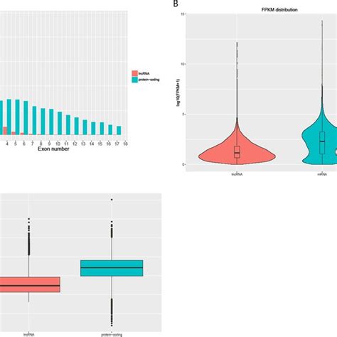 Comparison Of Mrna And Lncrna Expression For All Samples A Proportion Download Scientific
