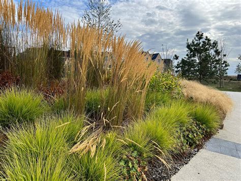 What Is Landscape Architecture Laird Bailey Landscape Architects