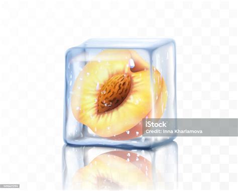 얼음 조각에 있는 신선한 잘 익은 복숭아 반쪽이 투명한 배경에 분리되어 있다 돌이 있는 냉동 복숭아 사실적인 3d 벡터 일러스트레이션 3차원 형태에 대한 스톡 벡터 아트 및