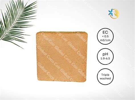 Coco Coir Block And Coco Coir Brick 5kg For Plant