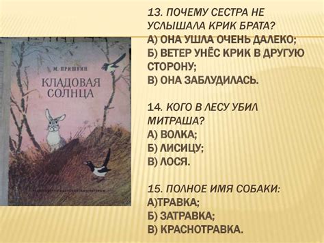 Об истории создания сказки-были «Кладовая солнца» - презентация онлайн