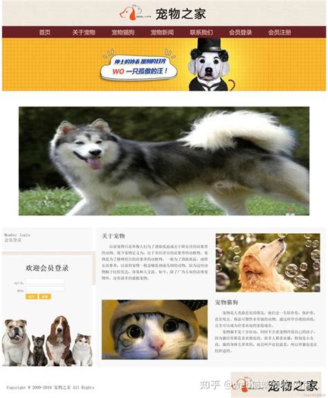 Html学生个人网站作业设计：宠物网站设计——宠物网站带会员登陆表单验证功能7页 知乎