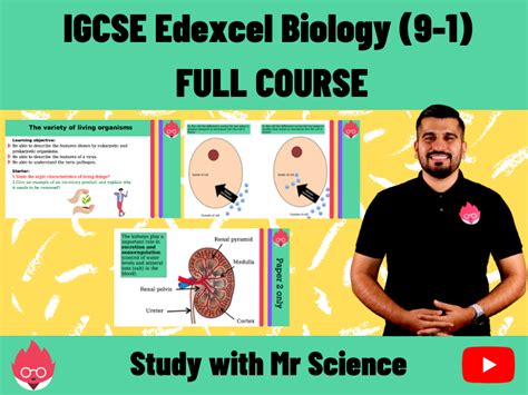 IGCSE Edexcel Biology 9 1 FULL COURSE Teaching Resources