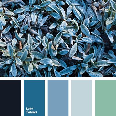 Midnight Blue Color Color Palette Ideas For Your Inspiration