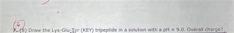 Solved 8 ﻿draw The Lys Glu Tyr Key ﻿tripeptide In A