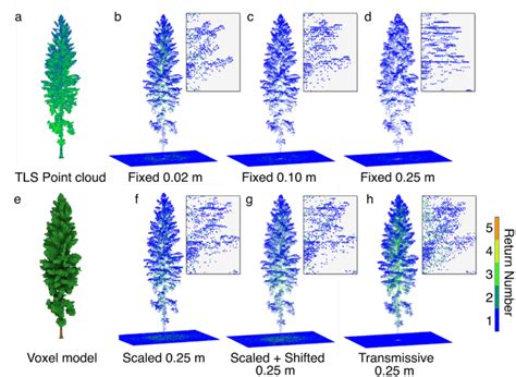 Vls Point Clouds Of A Tree Based On Different Voxel Modes Using A Uav