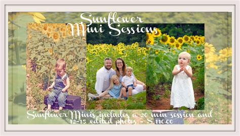 Laura Normoyle Photography The Sunflowers Are Coming Save The Date