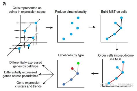 拟时序分析方法文献阅读之四 知乎