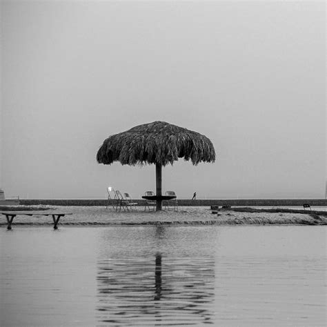 Dscf2445 Antonio Carlos Costa De Abrantes Flickr