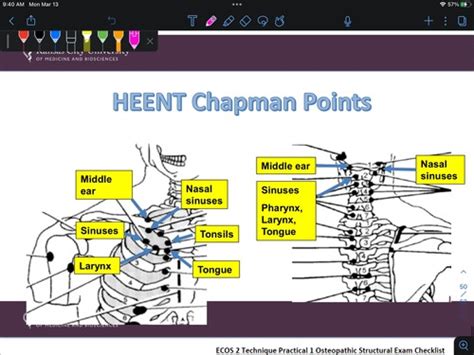 Ecos 2 Midterm Flashcards Quizlet