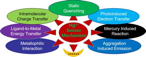 Recent Advances In Fluorescent Materials For Mercuryii Ion Detection Pmc