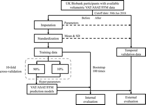 sex specific equations to estimate body composition derivation and