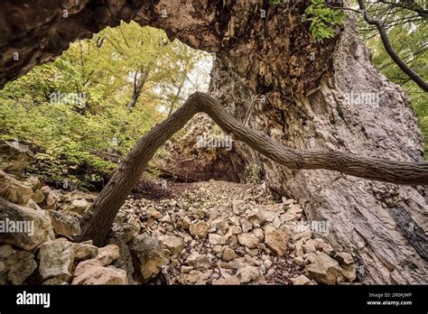 Unesco World Heritage Ice Age Caves Of The Swabian Alb