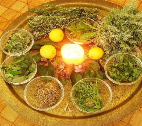 Lei Complementar Municipal 769 Excetua Ebós De Atos Lesivos à Limpeza