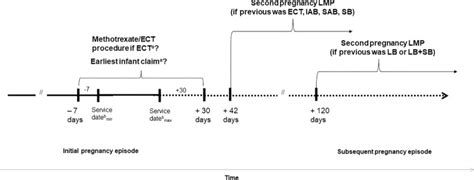 Identification Of Pregnancies And Their Outcomes In Healthcare Claims Data An
