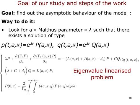 Ppt A Population Model Structured By Age And Molecular Content Of The Cells Powerpoint