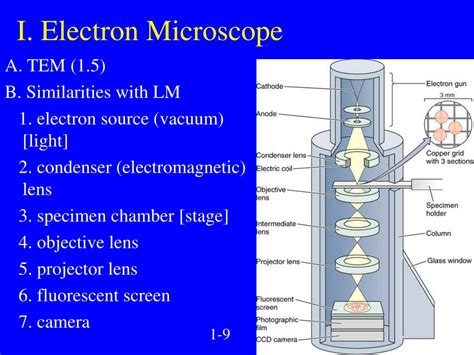 Transmission Electron Microscopy
