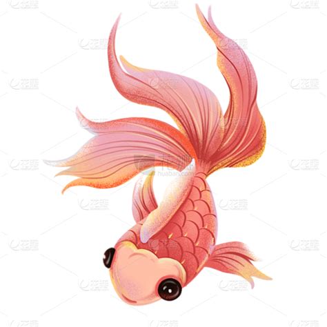 手绘 金鱼动物元素贴纸6