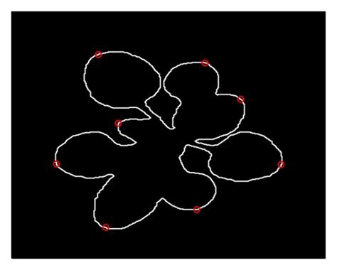 Growth Simulation Ae Contour Reconstruction During 5 Days The