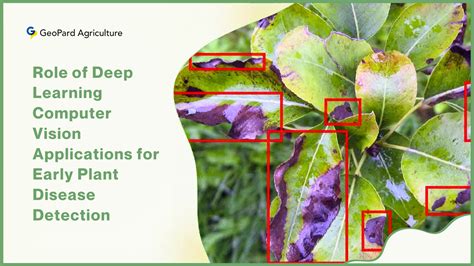 Role Of Deep Learning Computer Vision Applications For Early Plant Disease Detection Geopard