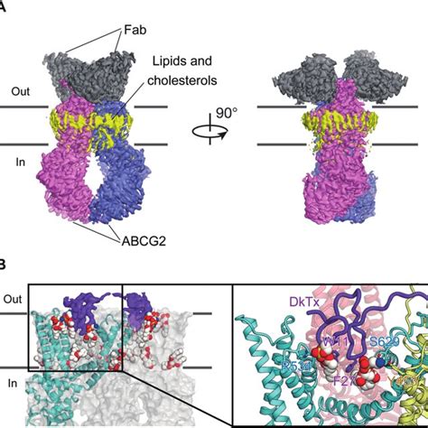 Lipid Protein Interactions In Nanodisc Reconstituted Membrane Proteins
