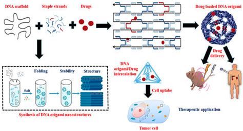 Dna Origami Nanostructures Encyclopedia Mdpi