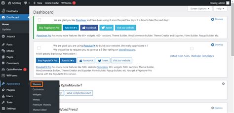 Guide To WordPress Themes