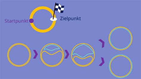 Dna Replikation • Ablauf Enzyme Eukaryoten Und Prokaryoten · [mit Video]