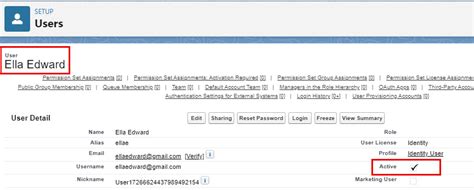 How To Create A New User Using Salesforce Apex