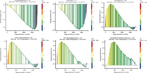 Bioinformatic Analysis Of Key Genes And Pathways Related To Keloids Pmc