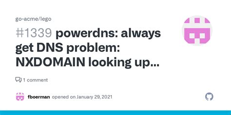 Powerdns Always Get Dns Problem Nxdomain Looking Up Txt · Issue 1339