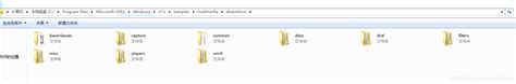 directshow源码下载 directshow下载 csdn博客