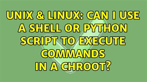 unix and linux can i use a shell or python script to execute commands in