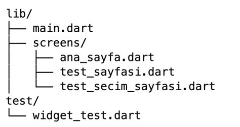 Flutter Flutter Project Error Error When Reading Libdatasoru