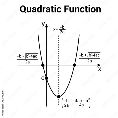Parts Of Quadratic Function In Mathematics Stock Vector Adobe Stock