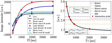 plots of the computation of t1 by using a curve fitting for inversion
