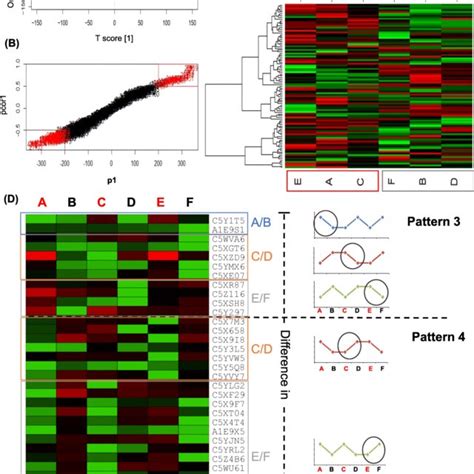 Statistical Multivariate Analysis Of S Bicolor C Partellus Download Scientific Diagram