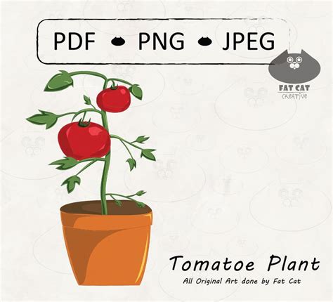 Tomato Plant Vector