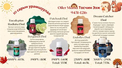 Сургуулийн Өмнөх Боловсролын Шинэчлэл ЦЭГЭЭР НААДЪЯ Зөвлөн туслах