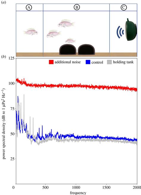 Schematic Of Experimental Set Up A And Representative Power Spectral Download Scientific