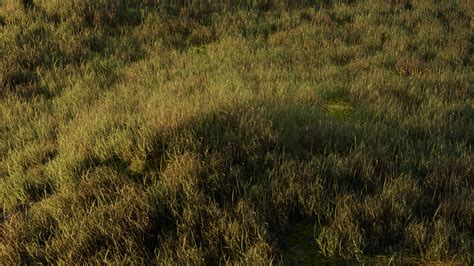Blender Realistic Grass Texture At Maddison Pulsford Blog