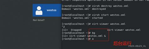 【虚拟化部署】 Csdn博客