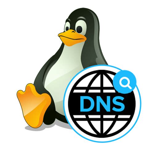 Настройка Dns в Linux