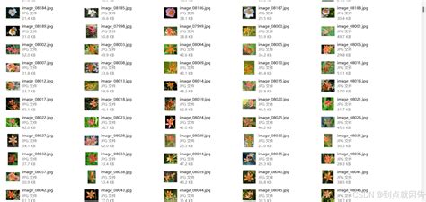 Yolov8系列】（七）毕设实战：yolov8pyqt5实现鲜花智能分类系统花卉识别系统 Csdn博客